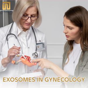 Gynecology Exosomes - futuremedicineacademy